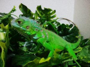 Webon編集部 | Webon（ウェボン） - Part 42